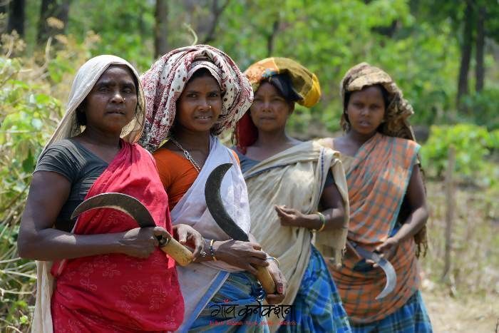Names of Singi, Kaili and Champa Dai tribal heroines neglected in ...