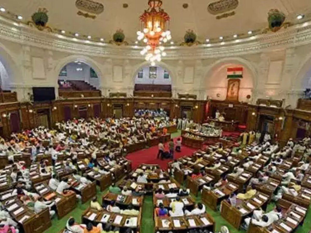 What is the difference between MLA and MLC, how are they selected, know ...