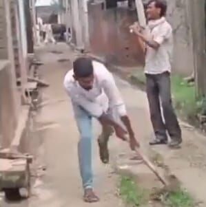 Baby Monkey Beaten To Death With Sticks In UP’s Budaun, Horrifying ...